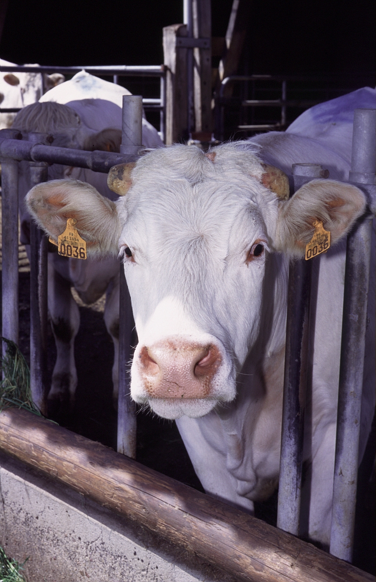 Métaprogramme SYALSA - TRICOR - projet exploratoire